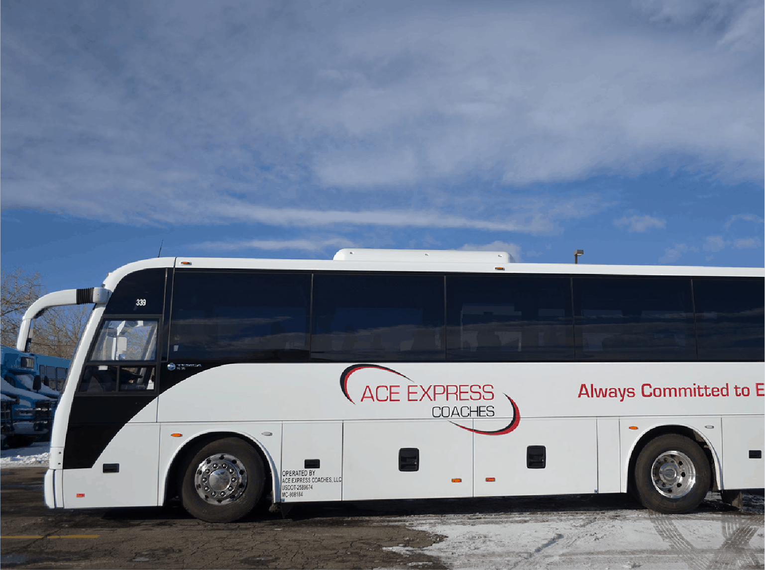 Our work with ACE Express - Masabi